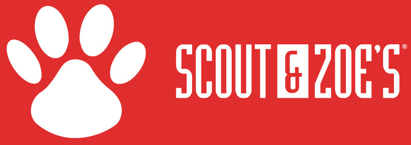 Novel Proteins for Cats with Food Allergies: Our Complete Guide – Scout ...